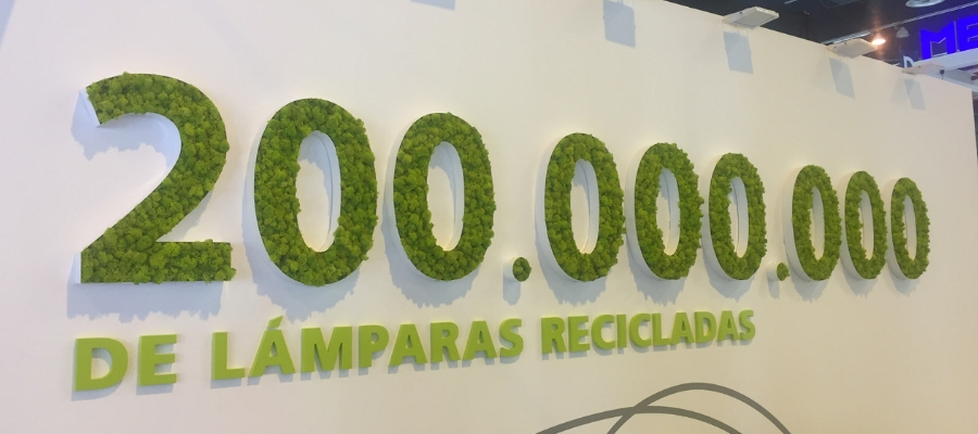 Letras corpóreas con musgo de Islandia